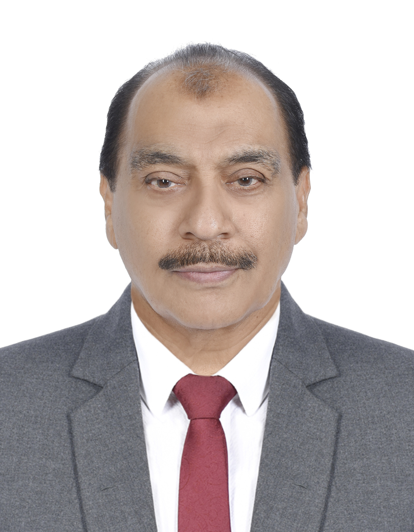 MS LOOTAH - High-Quality Construction and Engineering in UAE